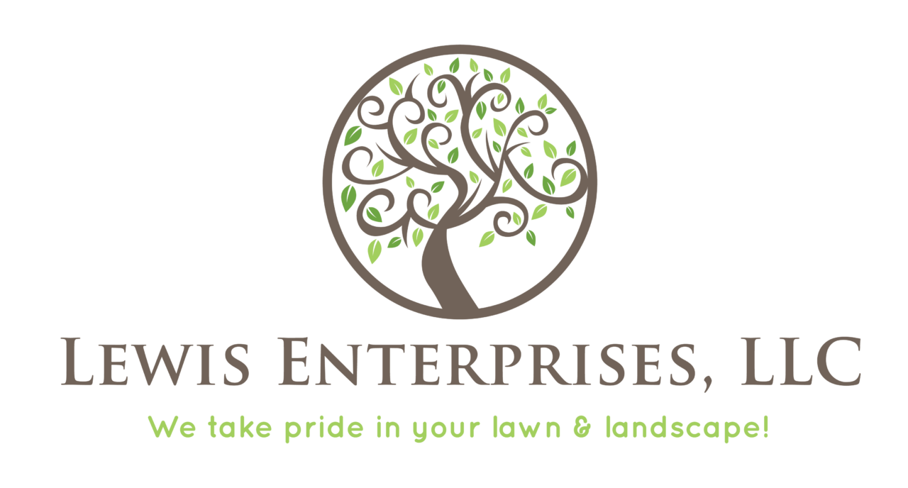 ABOUT US | lewisenterprisesva