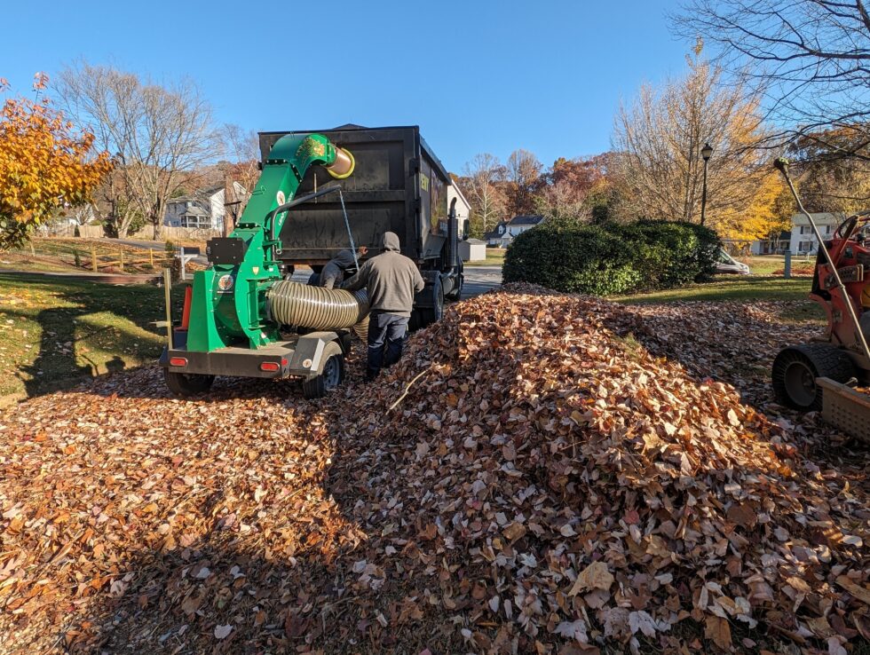 Leaf Removal | lewisenterprisesva