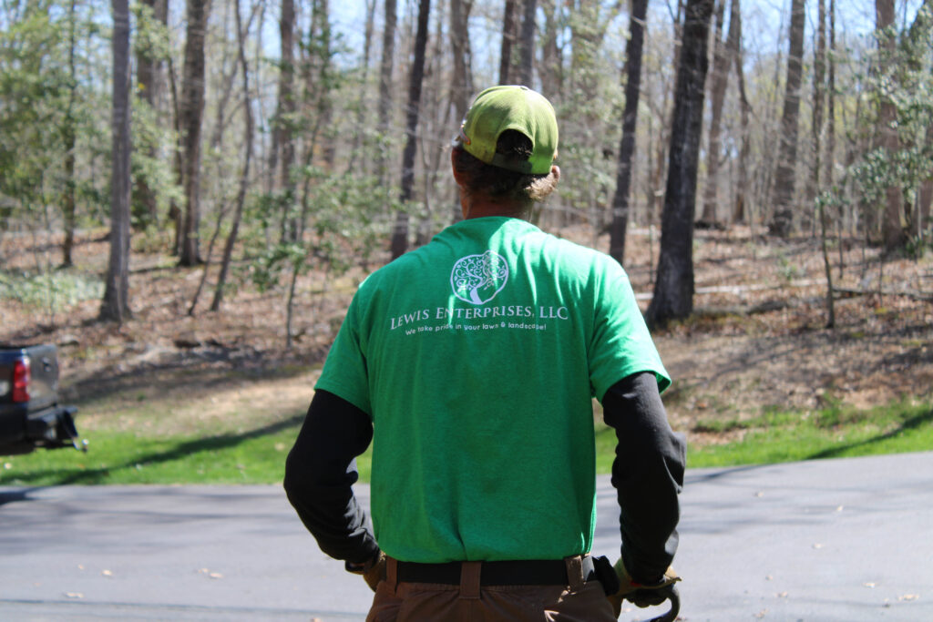 NEW YEAR, NEW LAWN — Spring Services to Transform Your Yard in 2026 ...